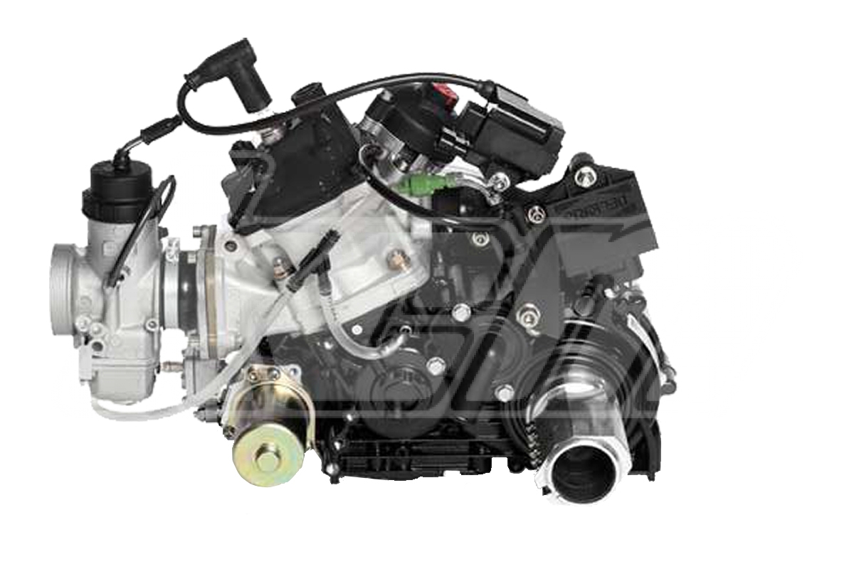 MOTEUR ROTAX DD2 EVO - KCM vente de karts et pièces détachées